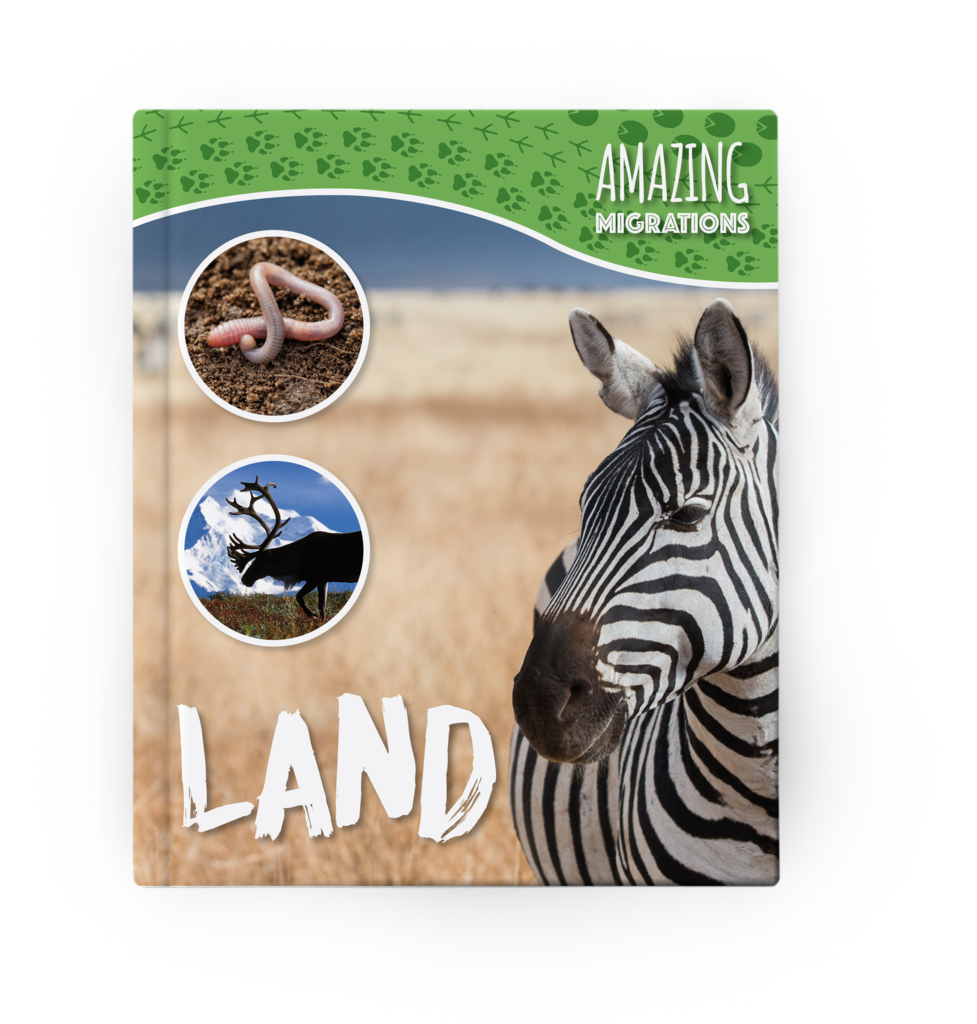 Amazing Migrations: Land