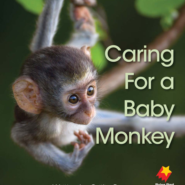 Funny Baby Monkey Pictures