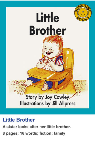 Sunshine Classics Level 2: Little Brother