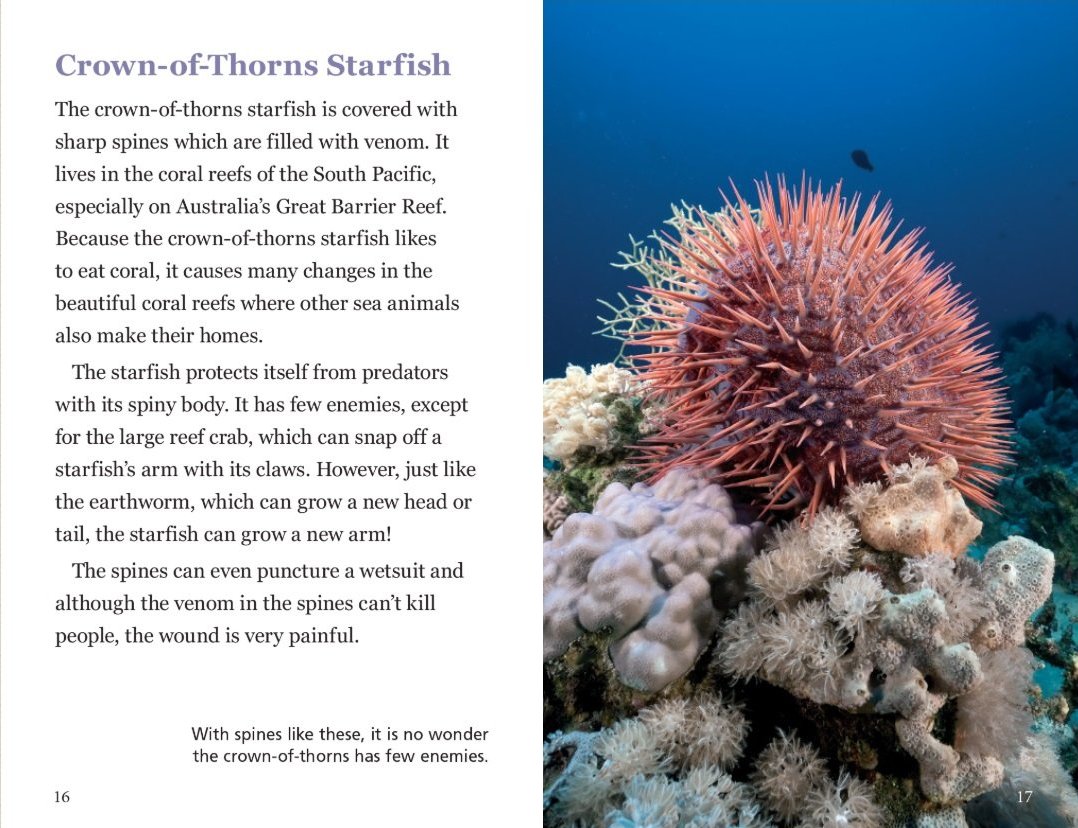 Sunshine Classics Level 26: Sharp Defences